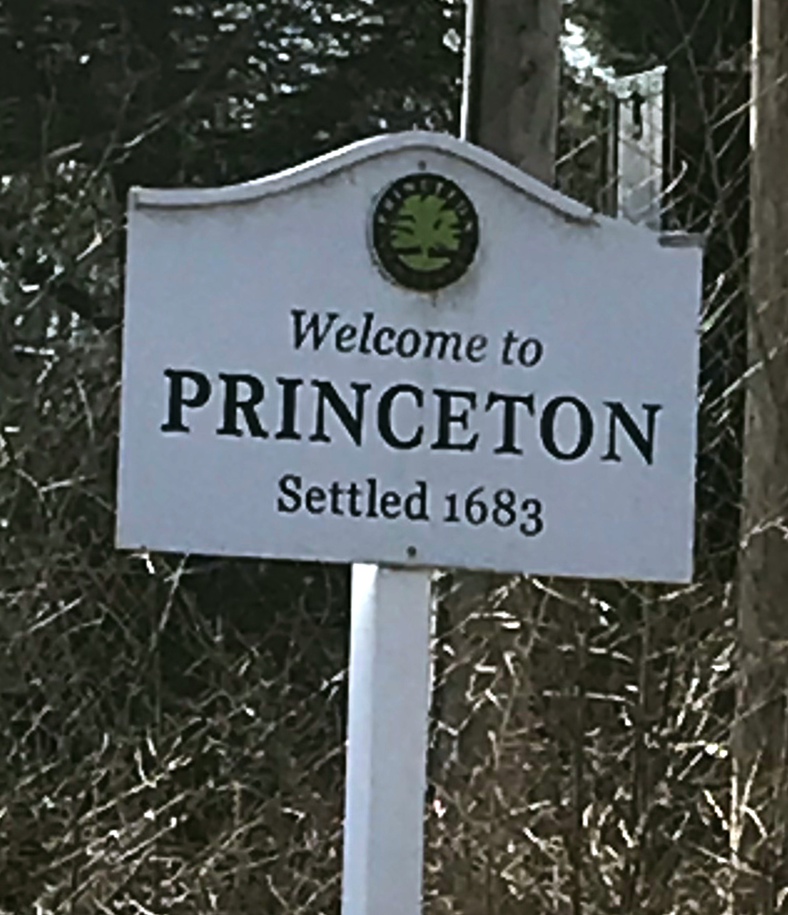 COVID - A Year In. The Local Realities. - Princeton Perspectives