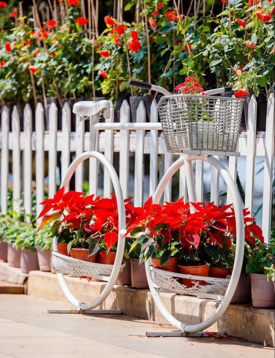 How Your Lawn/Patio/Window Box is a Frontline Protector of the Local ...