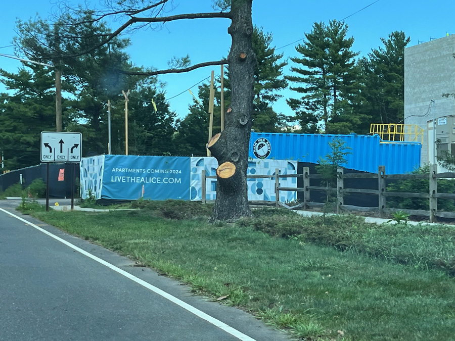 How Your Lawn/Patio/Window Box is a Frontline Protector of the Local ...