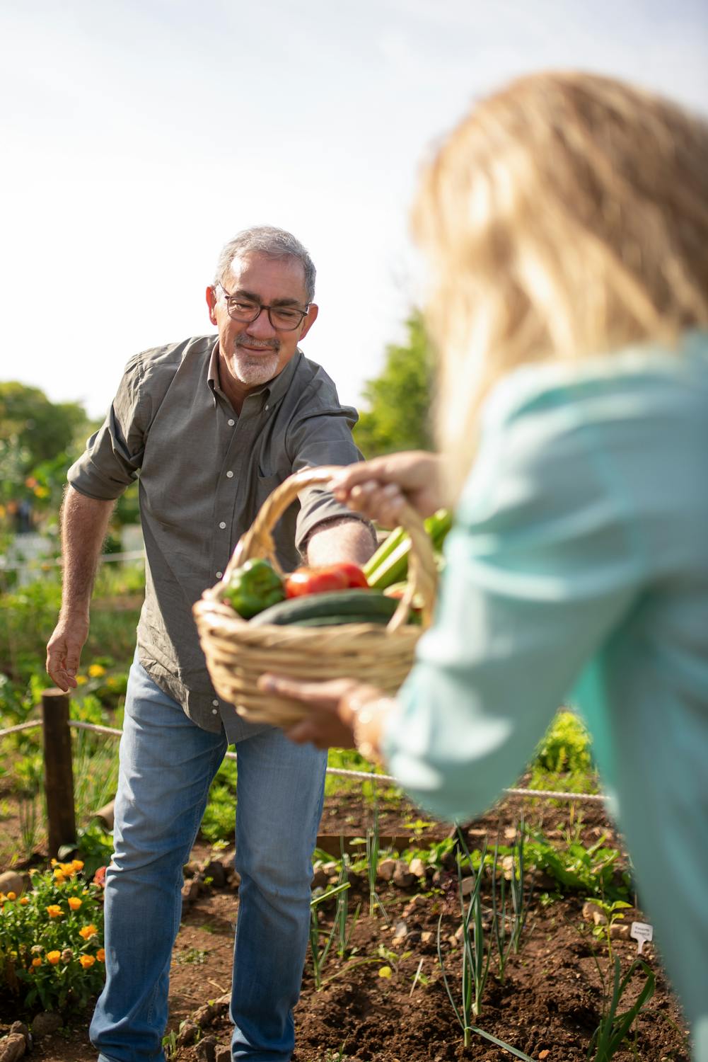Simple Steps to Help You Start Your Home Garden - Princeton Perspectives